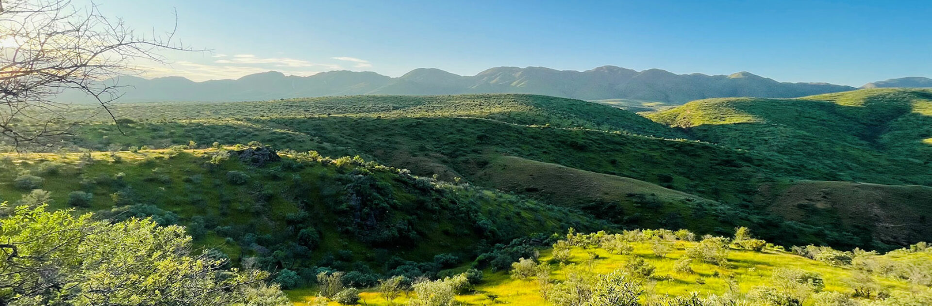 Finkenstein Estate – Quality of Life in a tranquil Nature Estate
